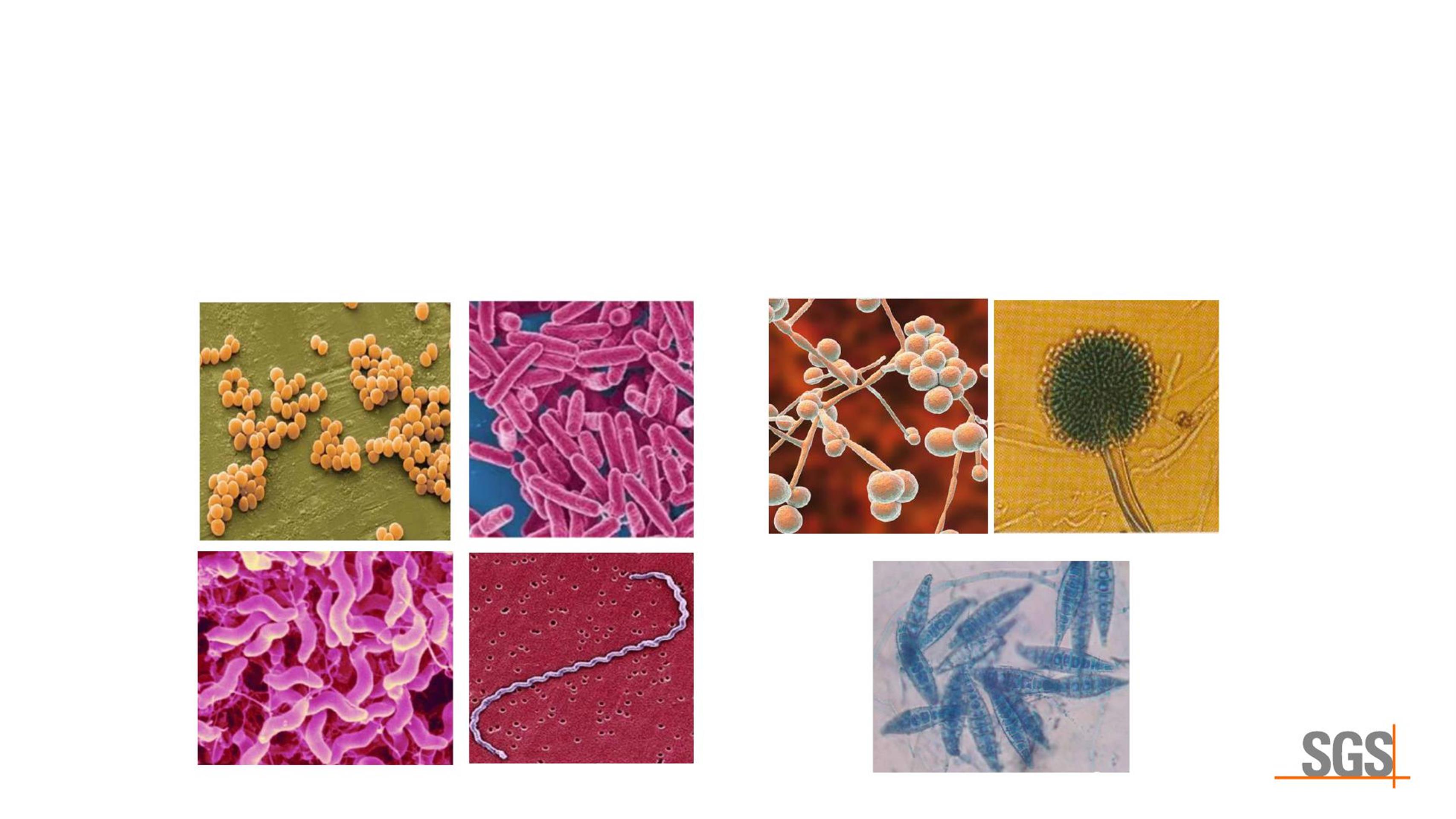 petco抗菌下载版